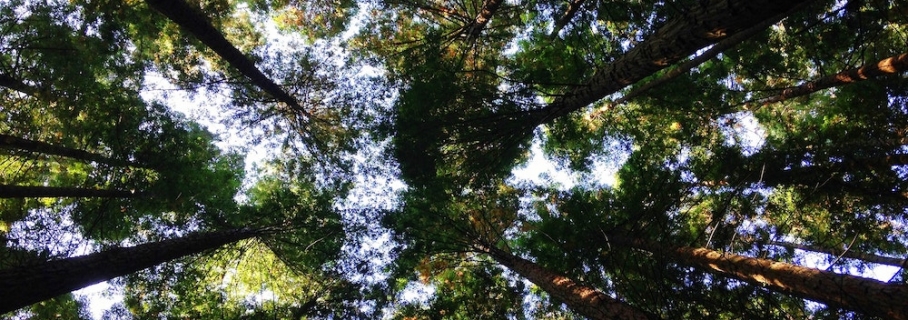 Partnership To Promote Recycling - Planet of the Vapes